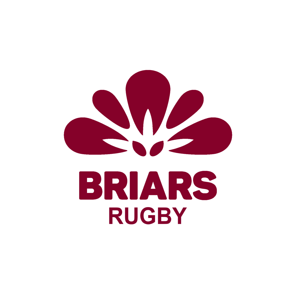 Contact – Briars Sports Club